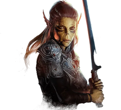 Baldurs Gate 3 FanMade